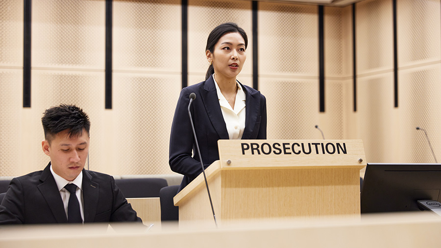 Overview Of Functions Attorney Generals Chambers